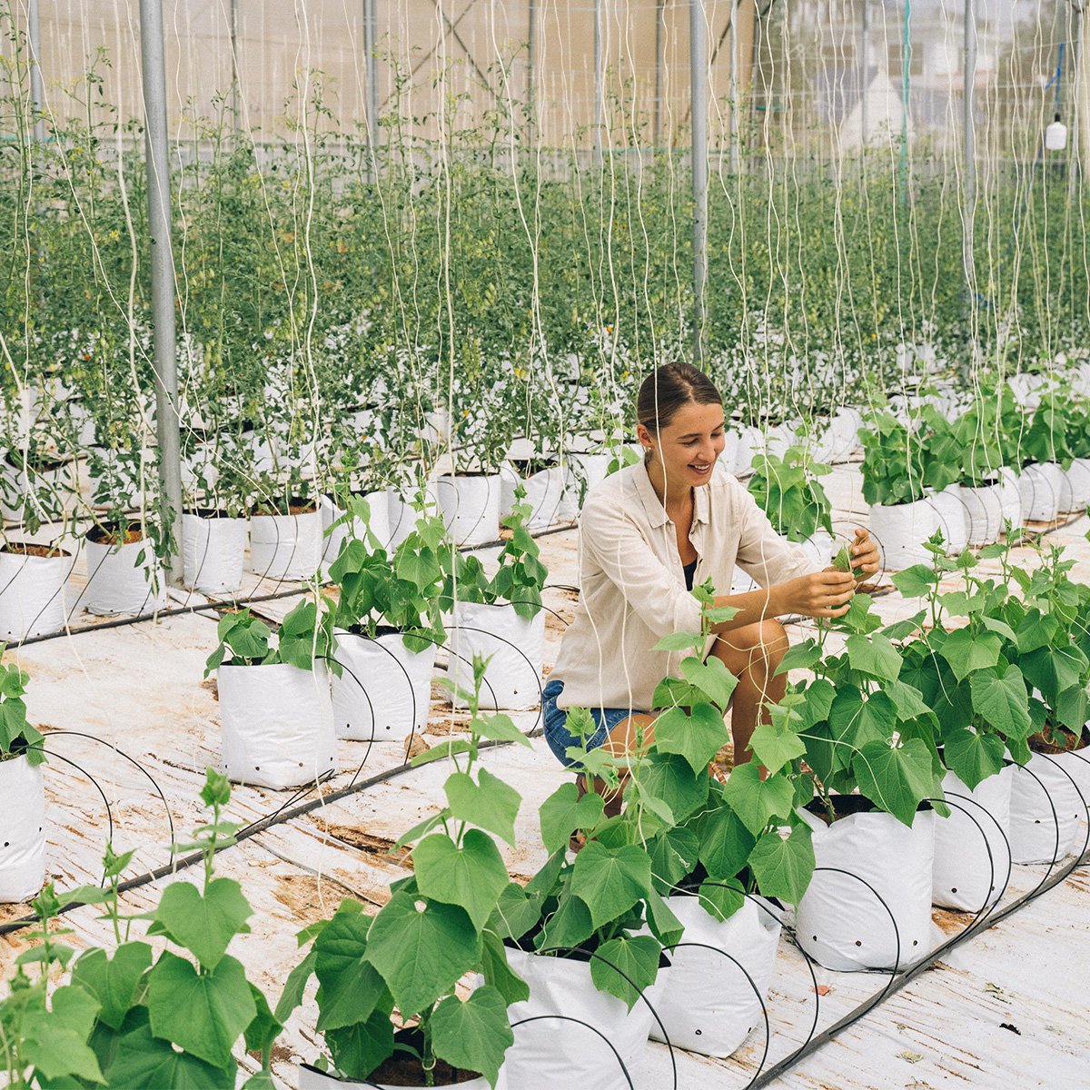 Rural Innovation | European Leadership Academy