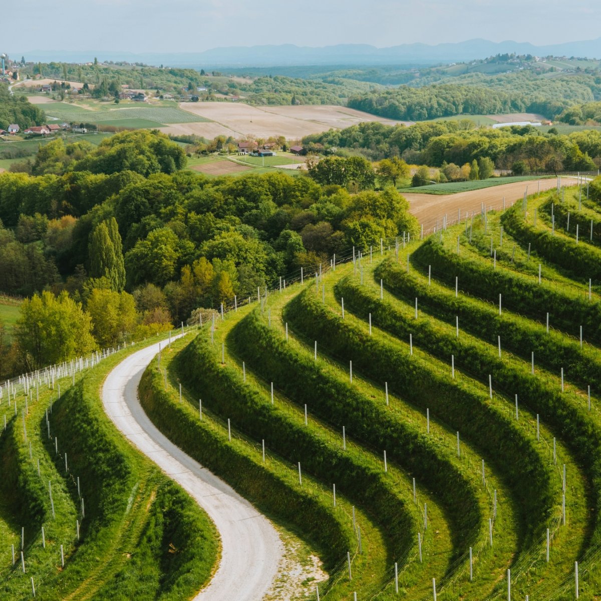 European Leadership Academy - Academy